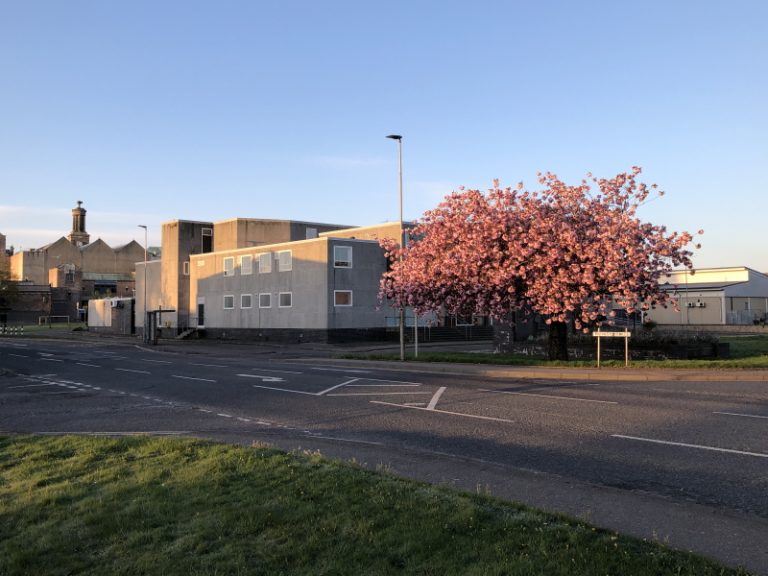 Elgin's phantom bus stop